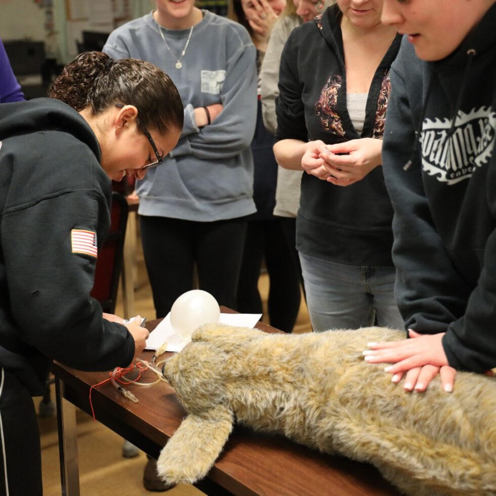 The Community School | Cape Cod Tech